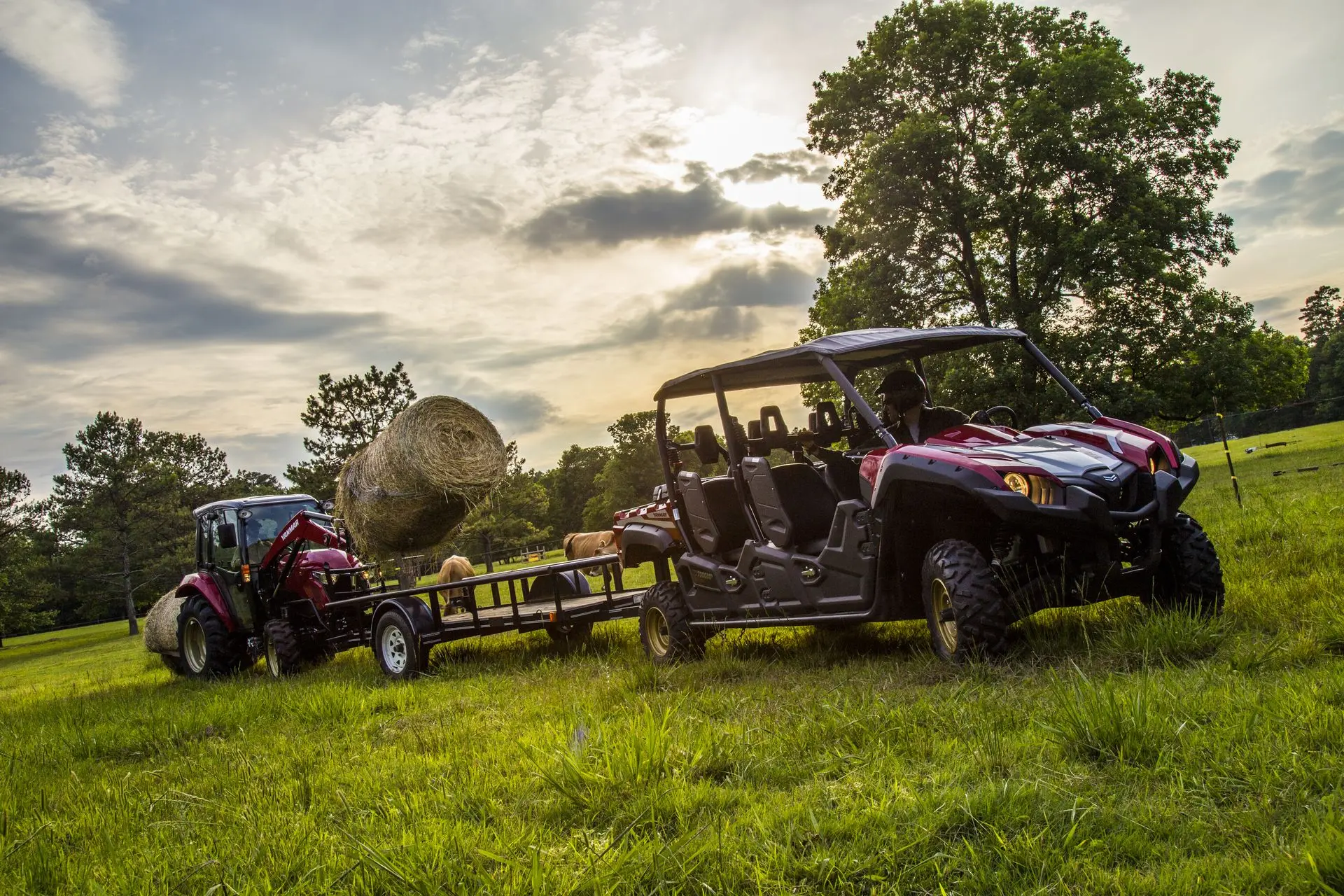 Yanmar Bull vs Brahma vs Longhorn — Work, Play, and Power Compared
